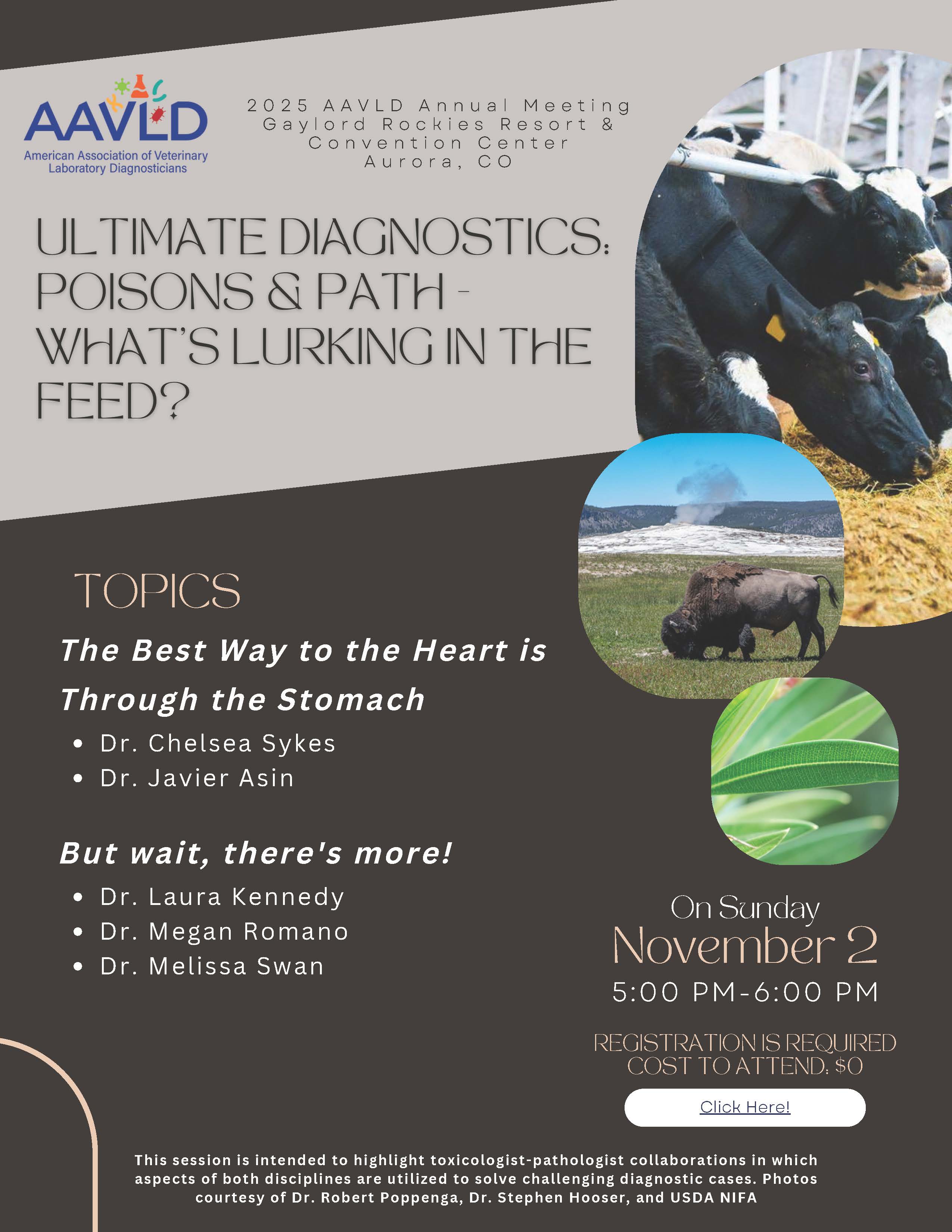 Ultimate Diagnostics: Poisons and Path-What's Lurking in the Feed?